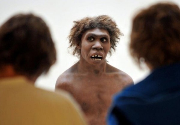 Néandertal entendait aussi bien que son ''cousin'' homo sapiens